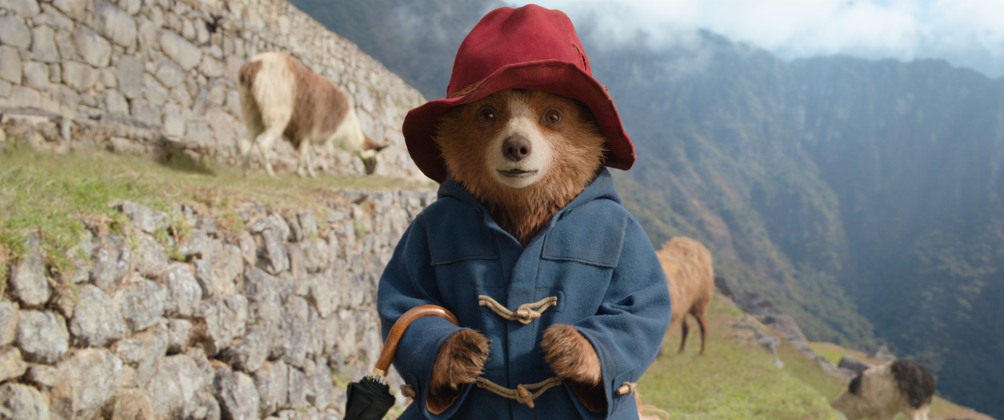 Paddington In Peru | Sony Pictures Canada